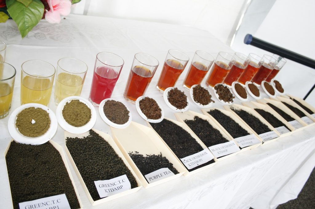 Sustainability - KTDA