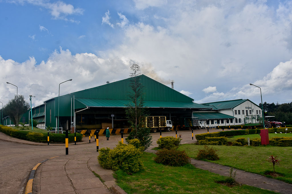Nakuru County - KTDA